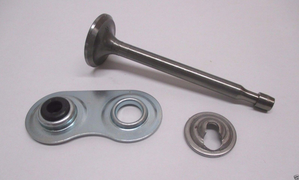Genuine Tecumseh 37289 Intake Valve For LEV100 LEV115 LEV120 LV195EA L ...